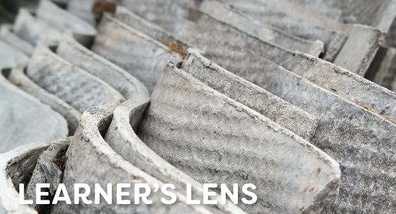 Learner's Lens: Shadowing a Specialist Asbestos Inspector - Sava