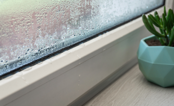 Understanding Condensation: What Is It and Why Does It Matter? - Sava